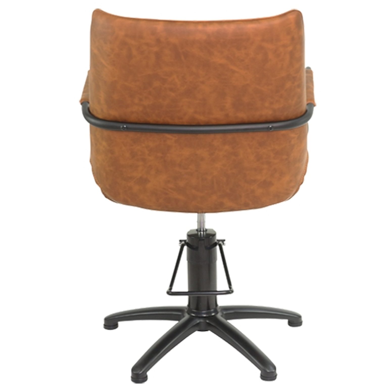 Taylor Styling Chair - Tan - AU SALON SUPPLIES