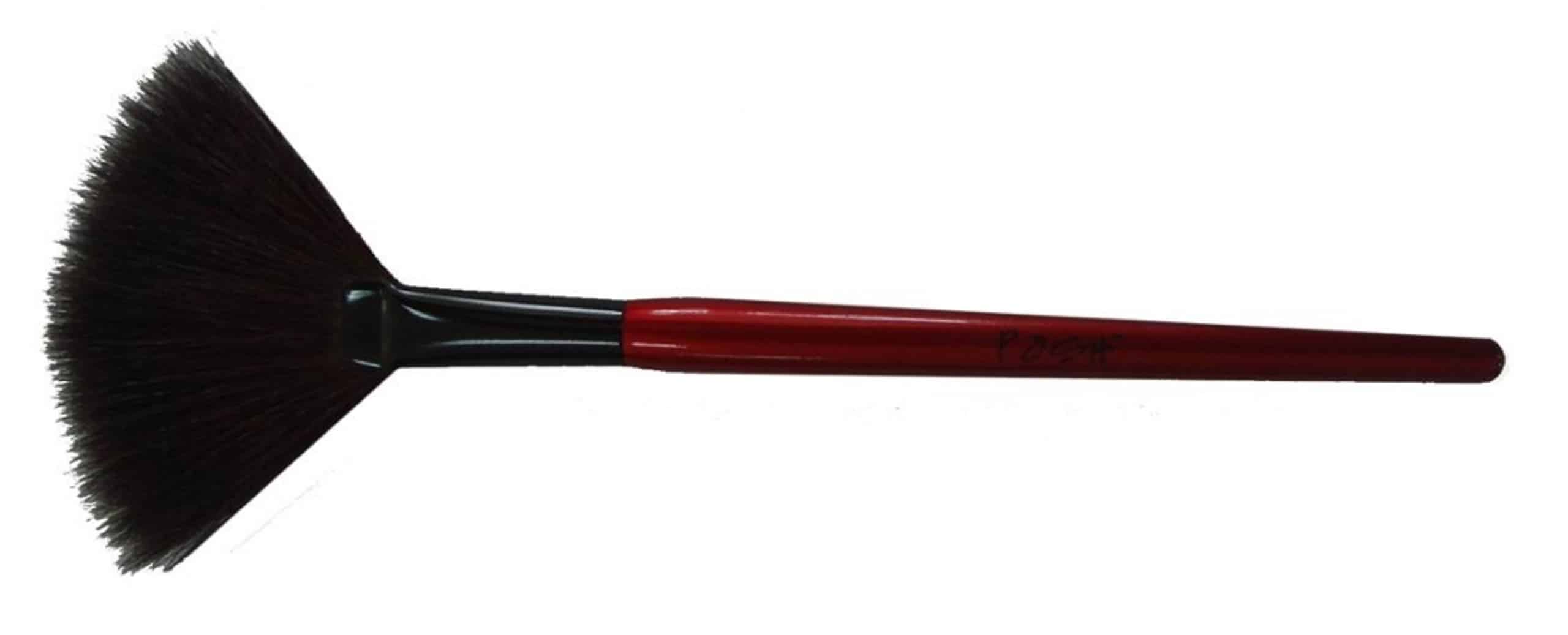 Fan Brush - AU SALON SUPPLIES